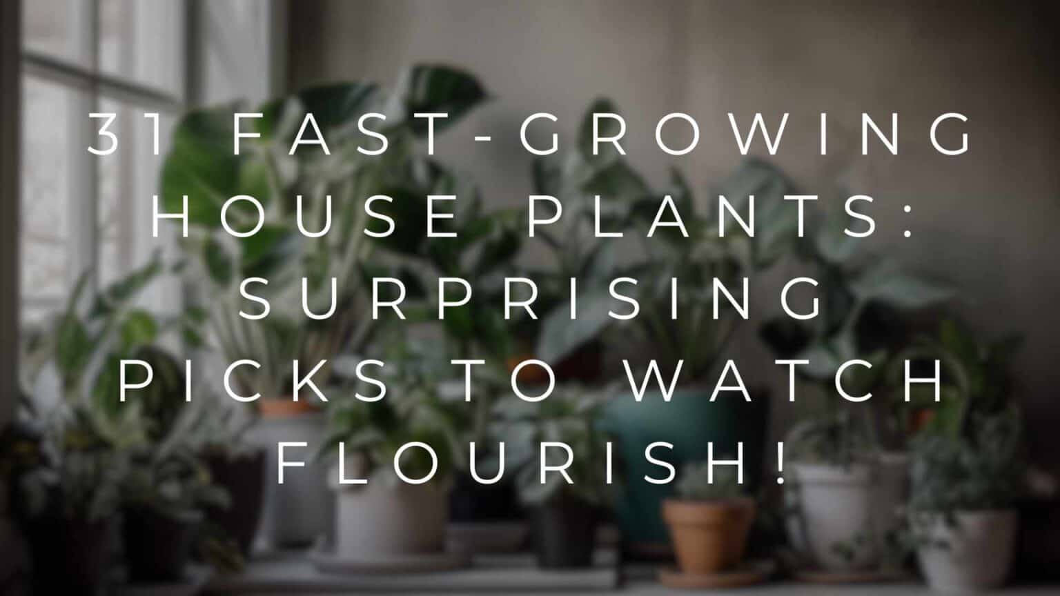 31 Fast-Growing House Plants: Surprising Picks to Watch Flourish! - Planted Shack