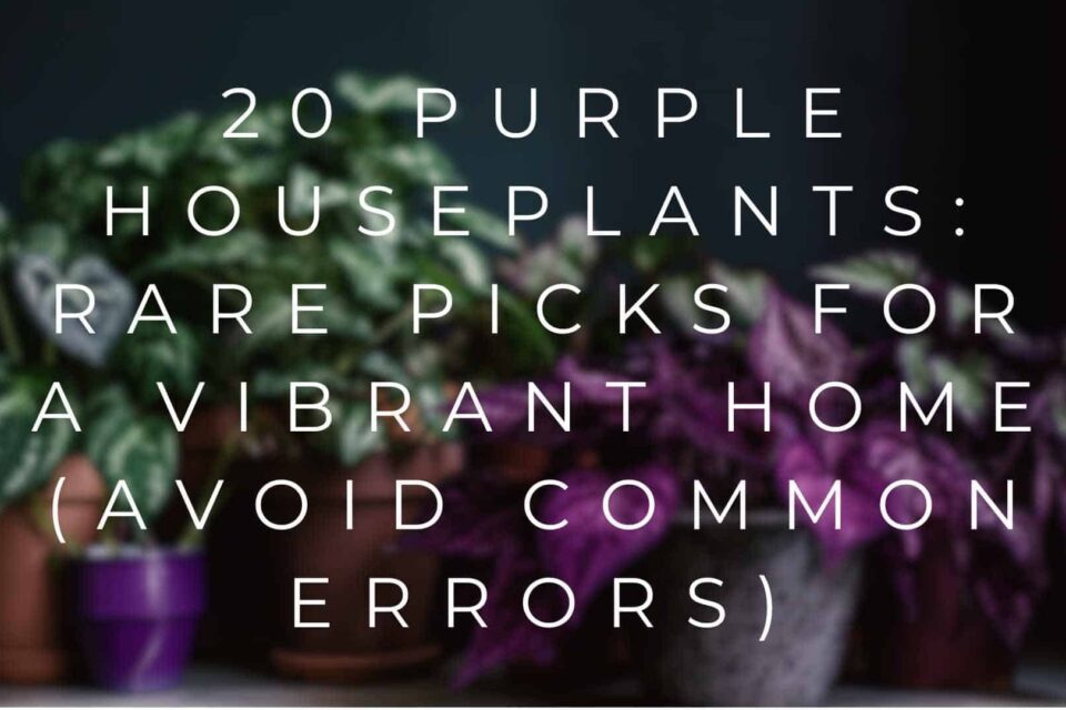 27 Vining House Plants: Grow a Green Paradise - Are You Ready ...