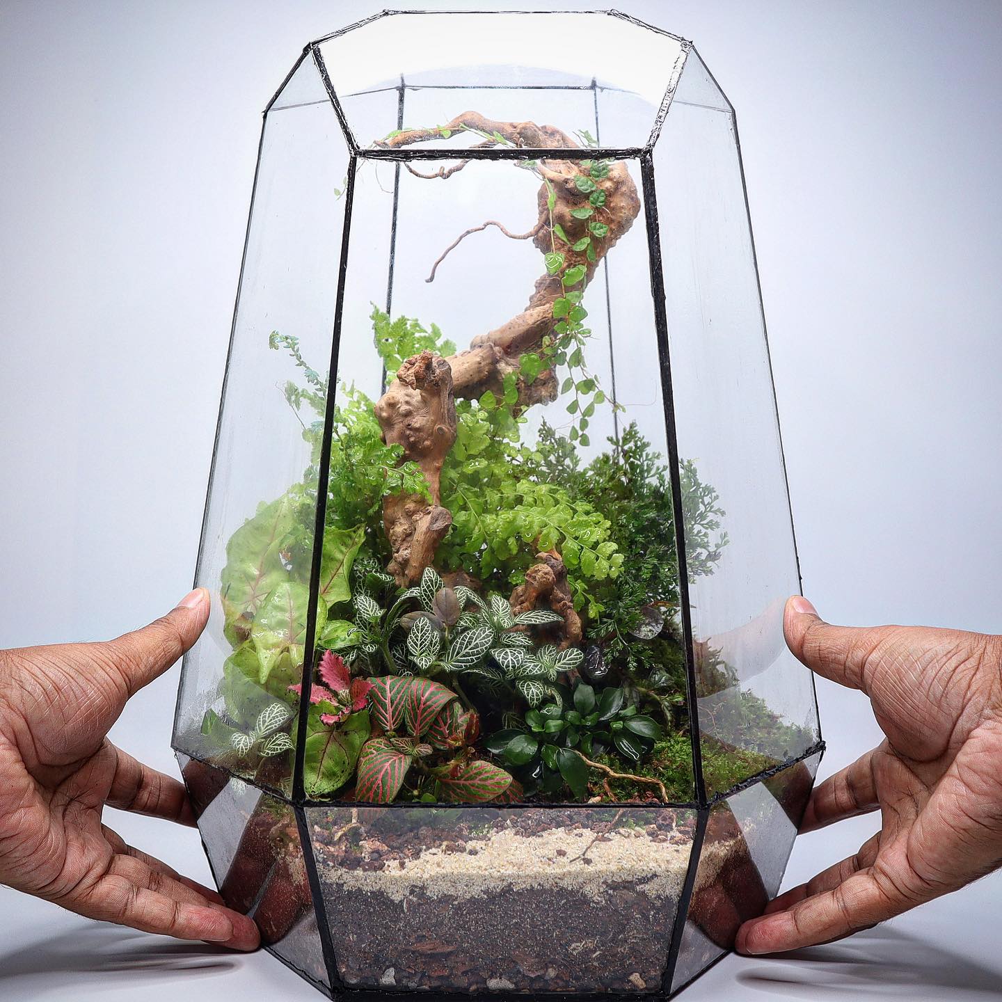 50 DIY Terrarium Ideas That Will Blow You Away - Planted Shack