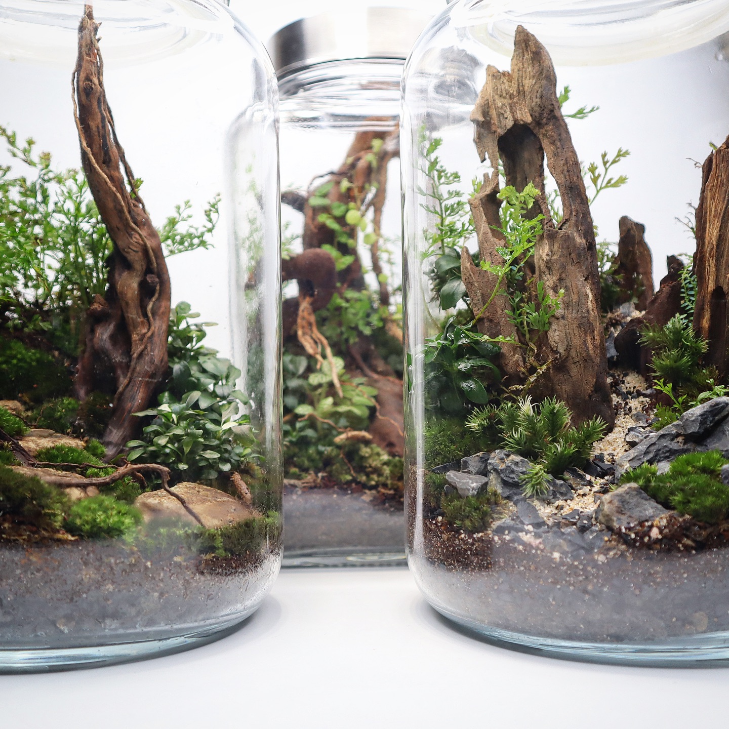 50 DIY Terrarium Ideas That Will Blow You Away - Planted Shack