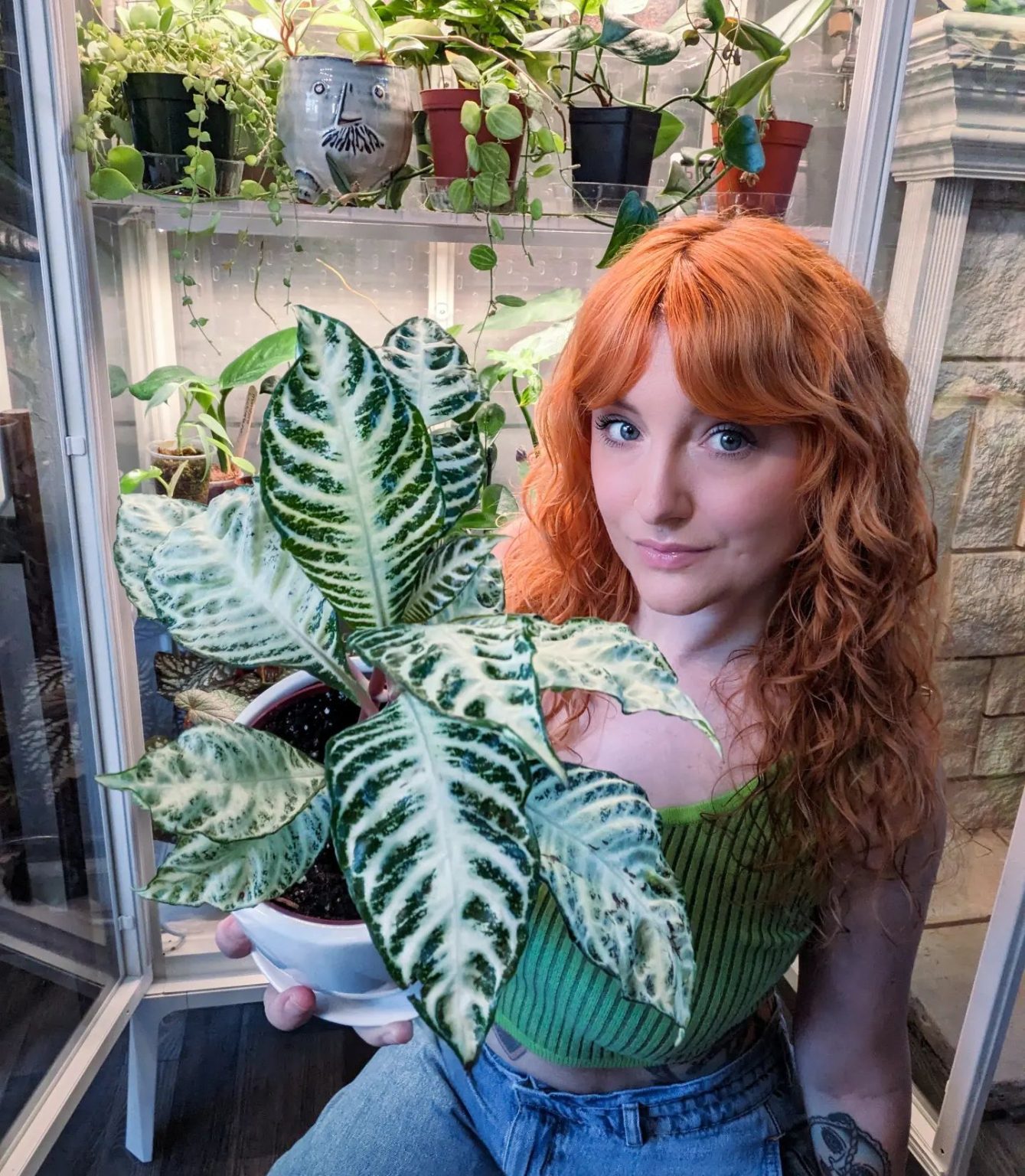 100 Indoor No Fuss Drought-Tolerant Plants that are Unkillable ...