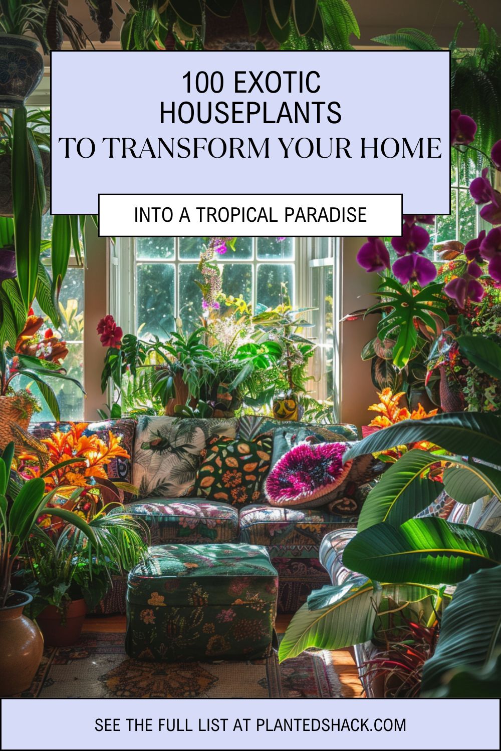 100 Exotic Houseplants to Transform Your Home into a Tropical Paradise ...
