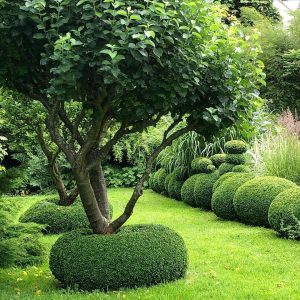 The Top 50 Plants Every Small Garden Needs Planted Shack