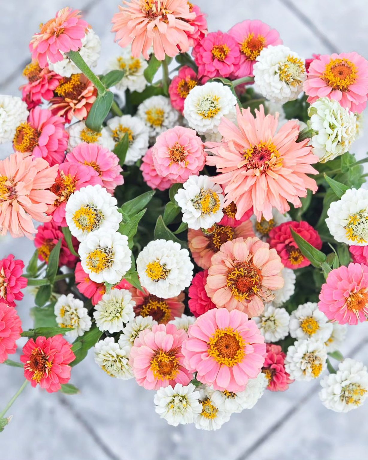 50 Summer Flowers That Will Make Your Garden Unforgettable - Planted Shack