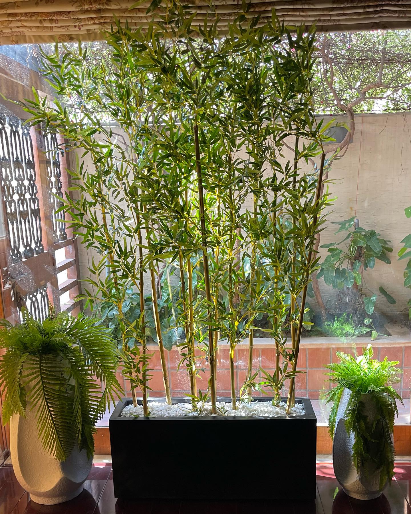 50 Beautiful Plants to Make Your Poolside Feel Like a Resort! - Planted ...