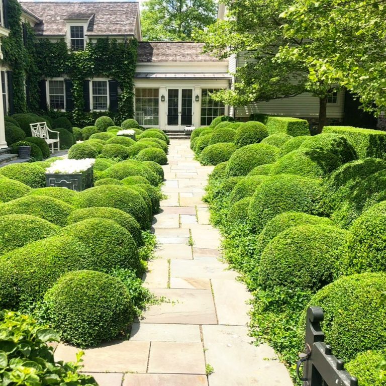50 Bushes to Make Your Front Yard the Envy of the Neighborhood ...