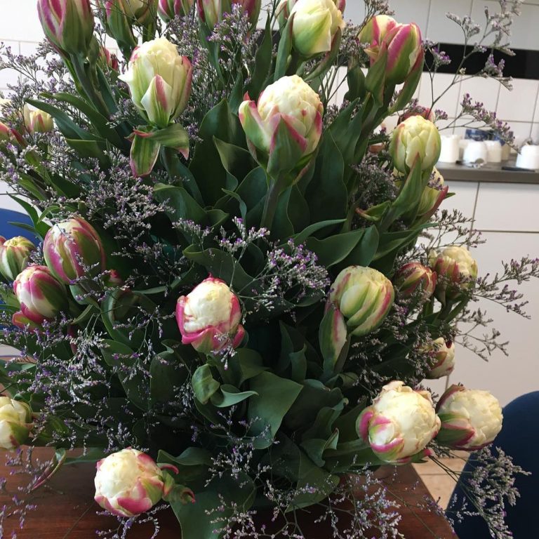 50 Stunning Tulip Varieties to Transform Your Garden - Planted Shack